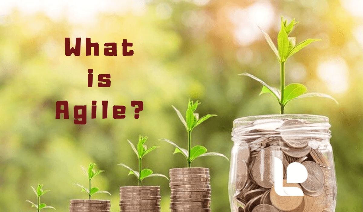 What is Agile? | what is agile methodology? - blog
