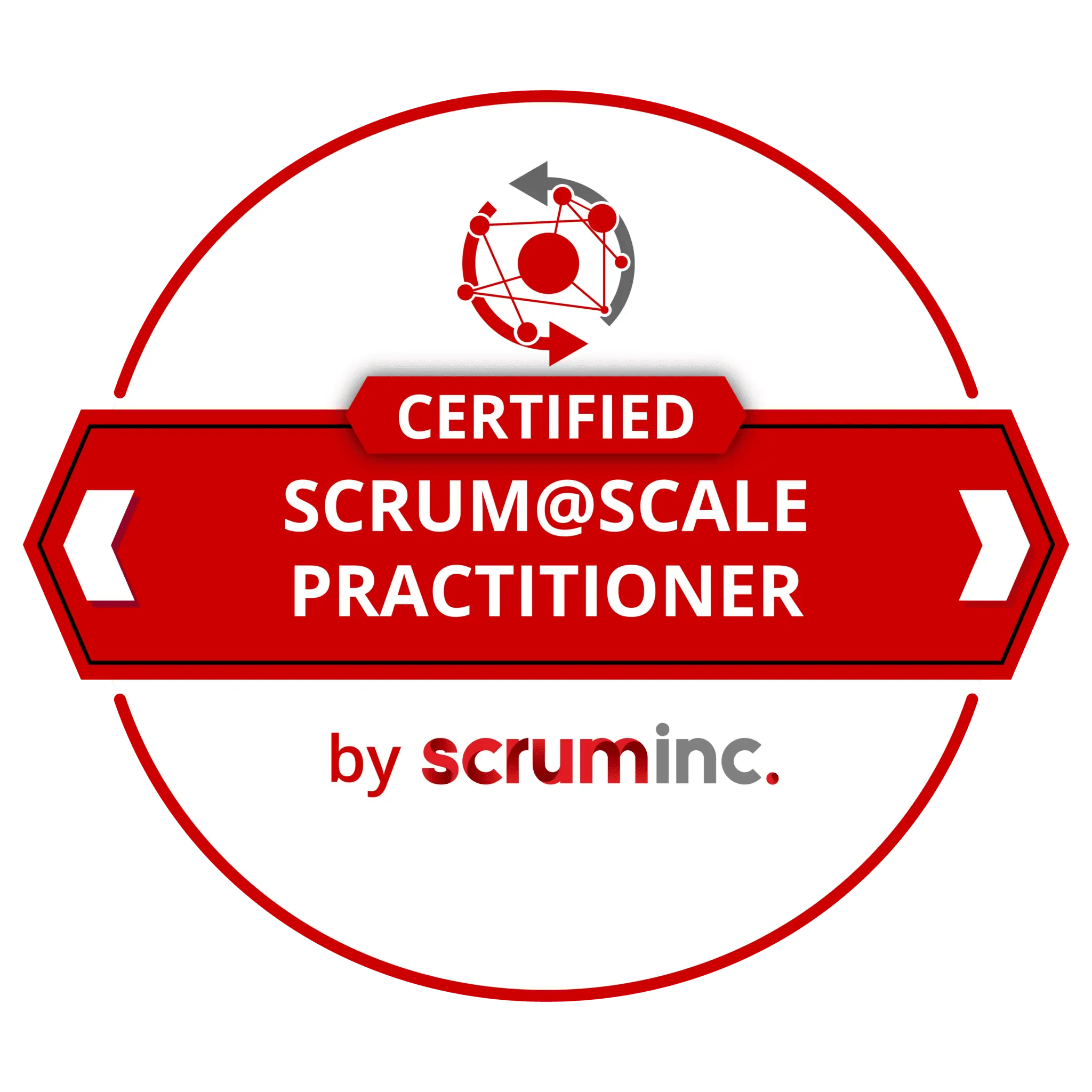 Scrum@Scale Practitioner Online Training | Leanpitch